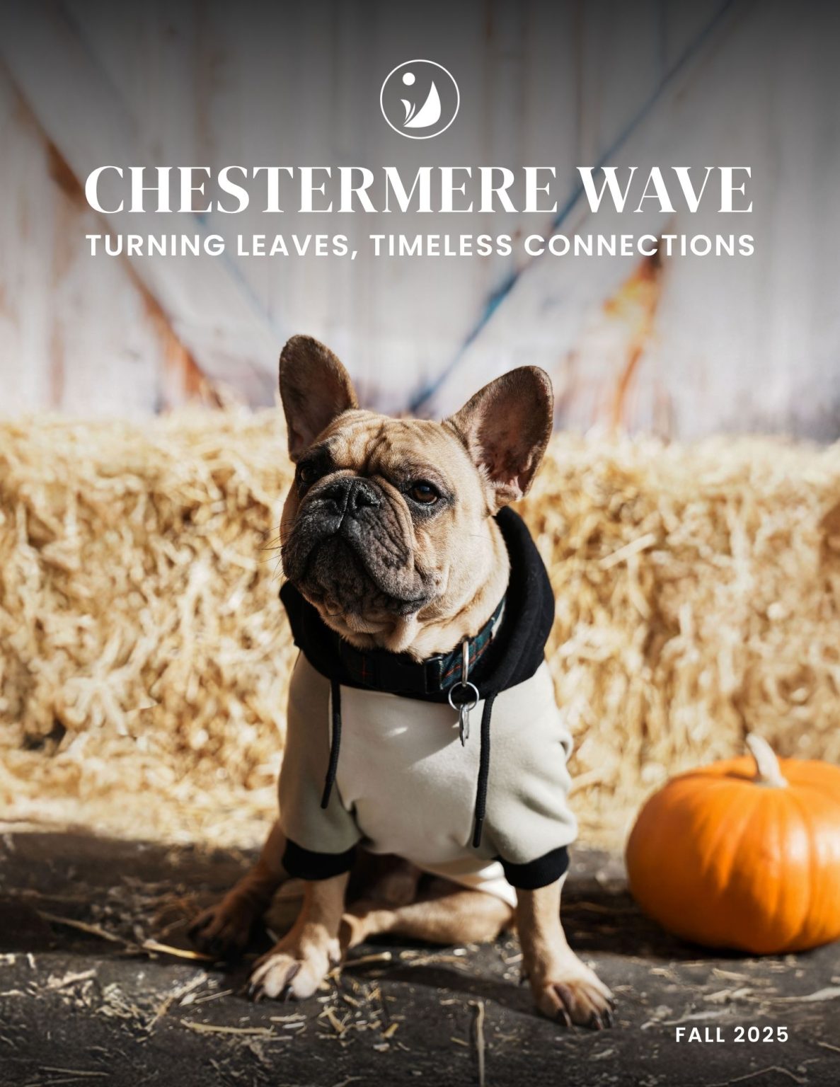 Chestermere Wave | Fall 2025 | City Hall